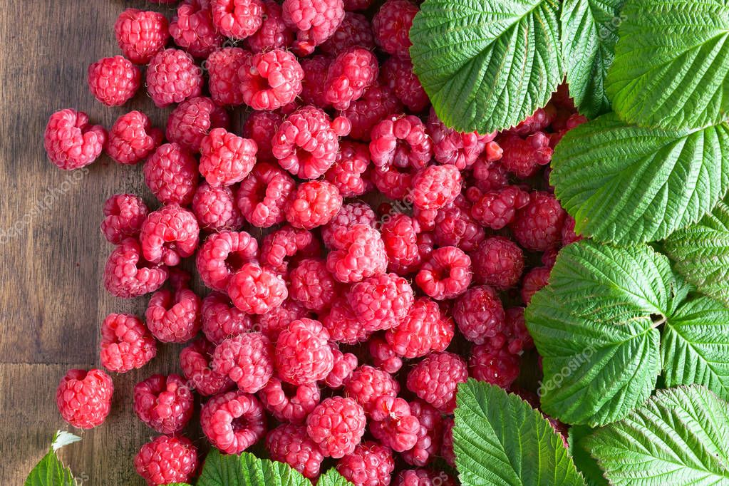 Raspberries and green leaves — Stock Photo © igorr1 #155530532