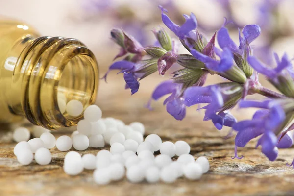 Alternative medicine and therapy with homeopathic and herbal pills ...