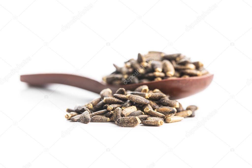 Semillas de cardo mariano aisladas sobre fondo blanco. 2024