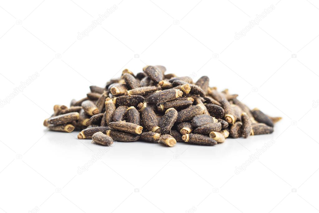 Semillas de cardo mariano aisladas sobre fondo blanco. 2023