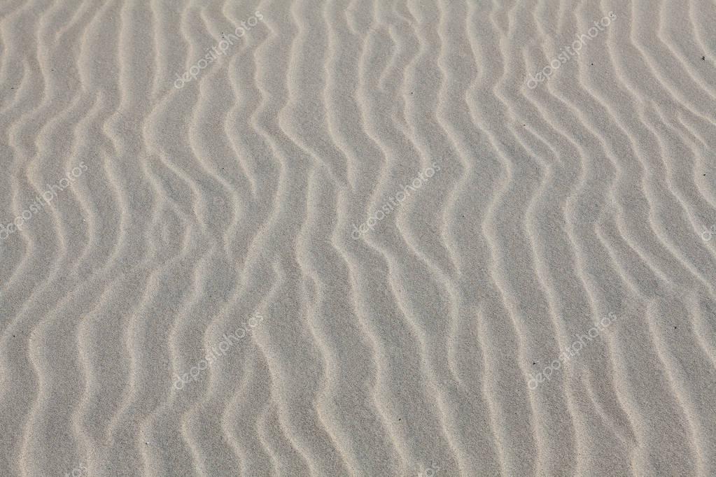 textura de arena para el fondo del mar Báltico. 2024