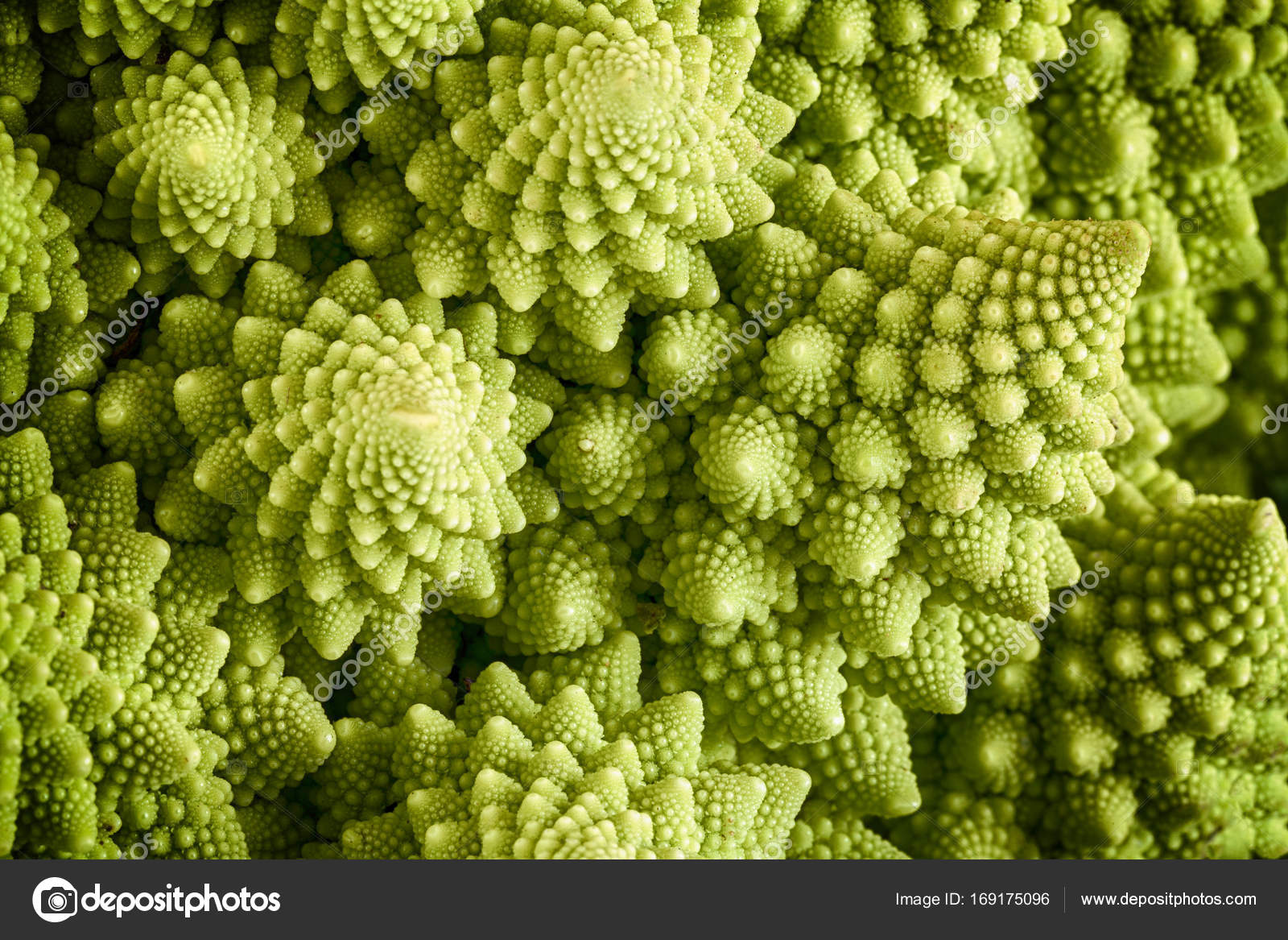 Romanesco broccoli vegetable close up — Stock Photo © mreco99 #169175096