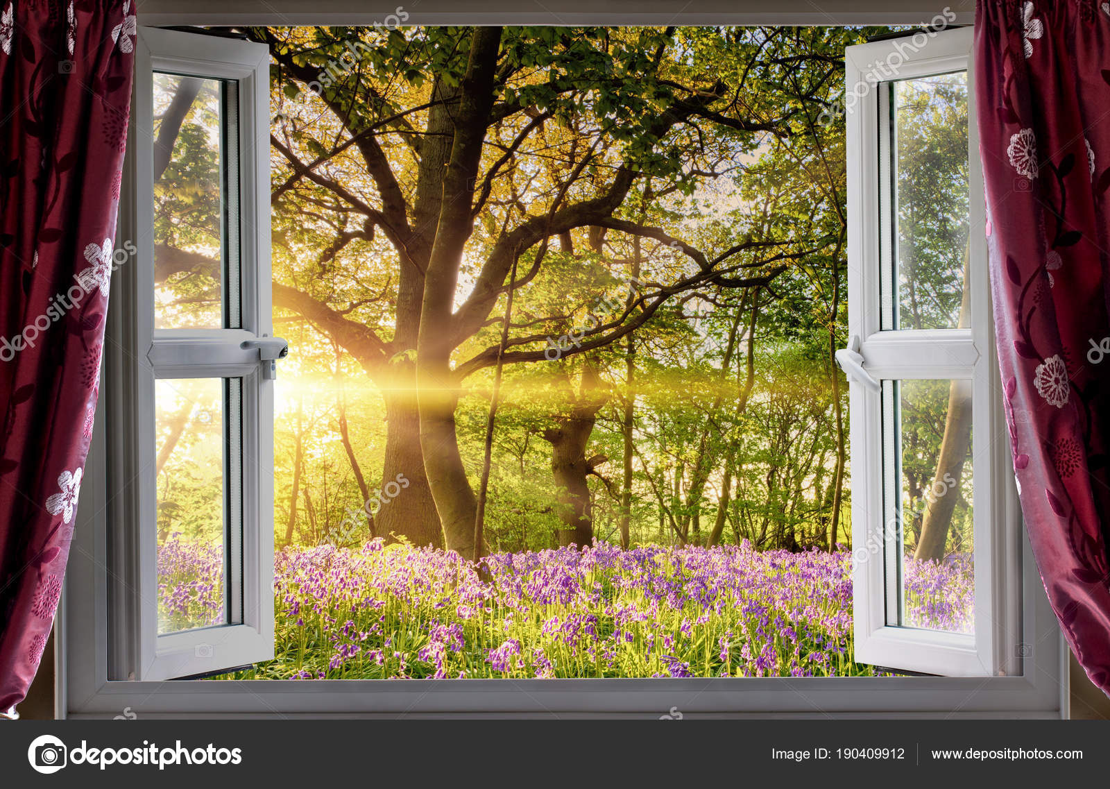 Open Window At Morning