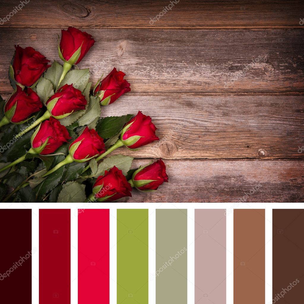 Red rose palette Stock Photo by ©rixipix 126146448