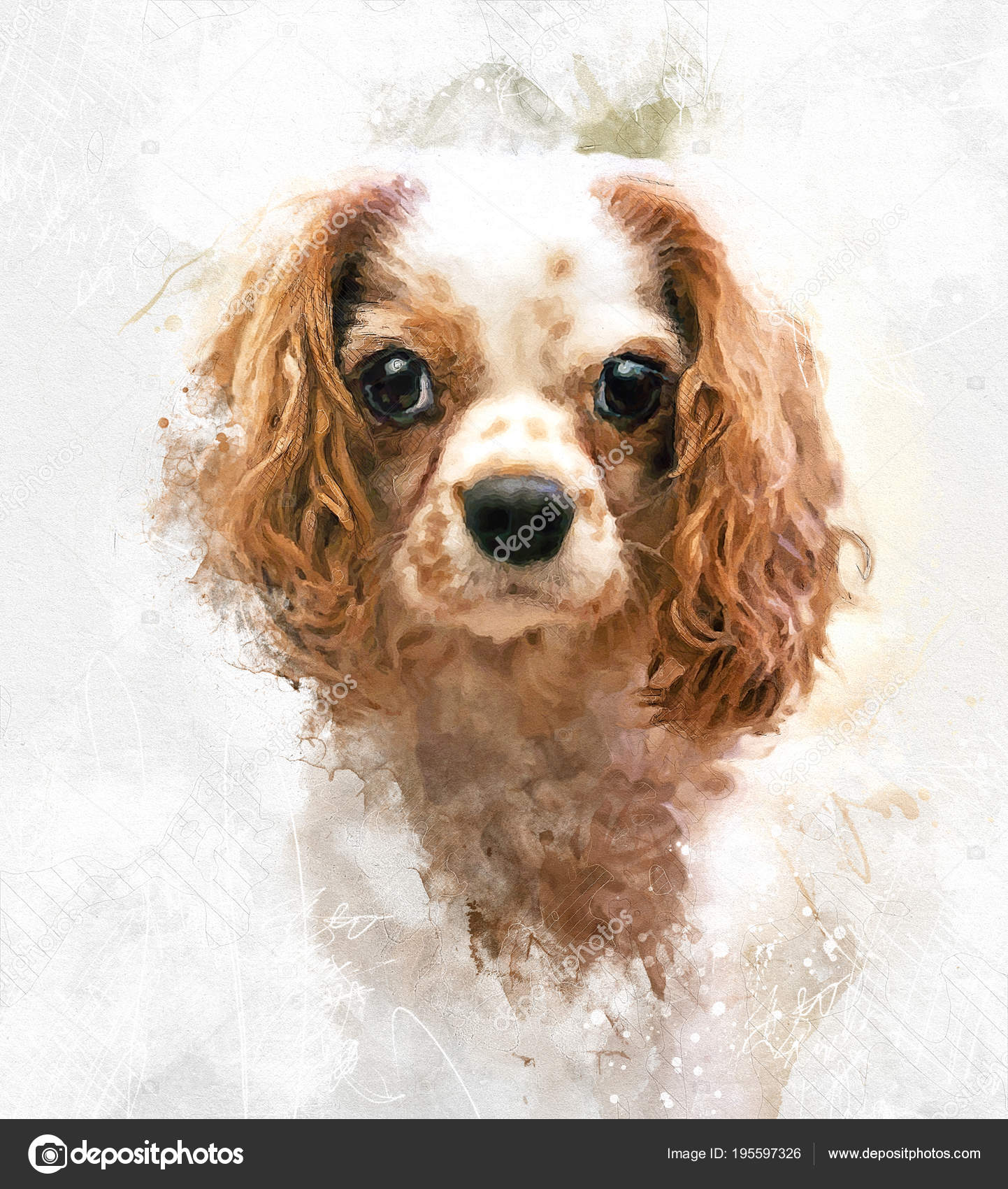 Cavalier King Charles Spaniel Cocker Spaniel Mix