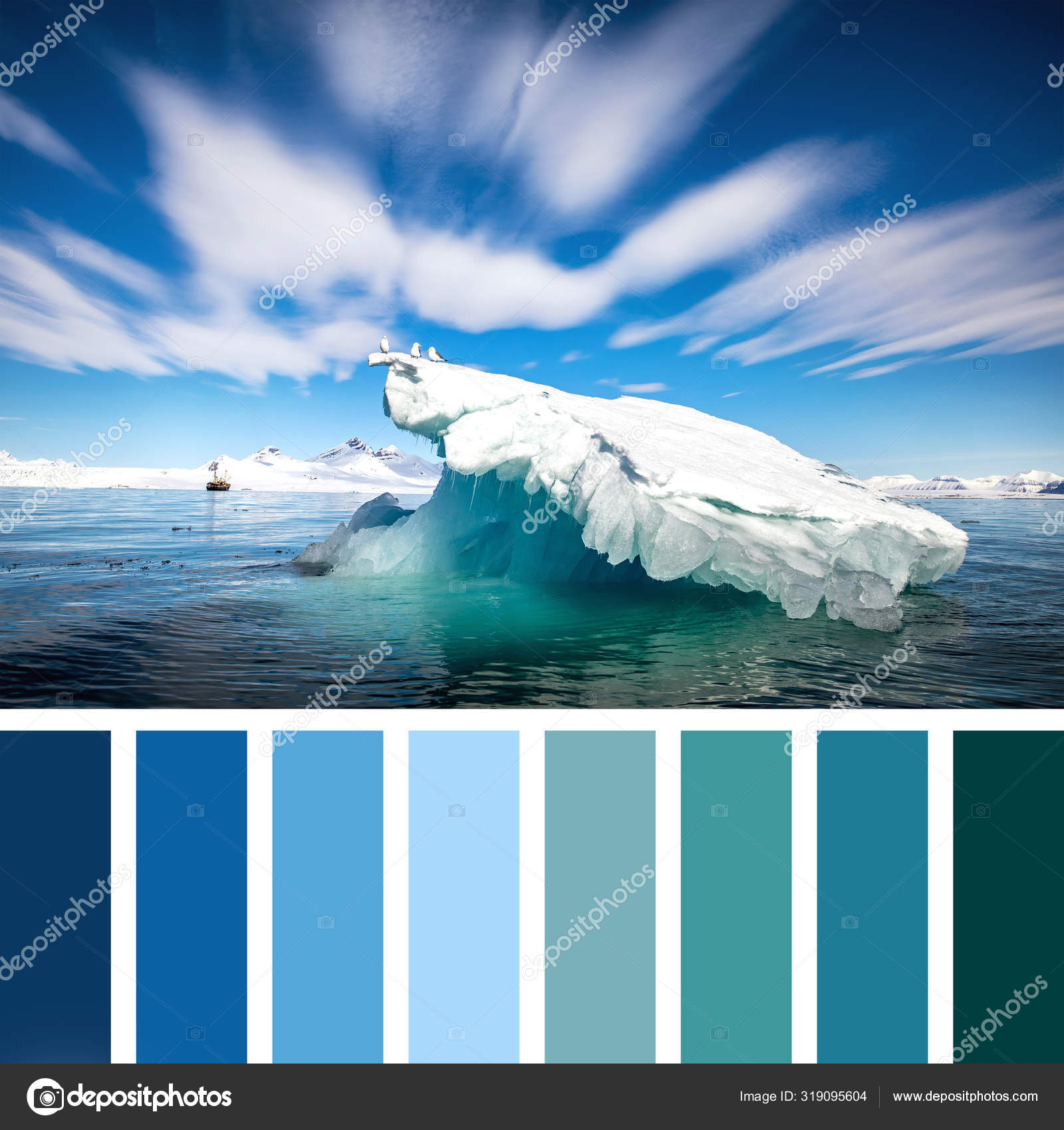 Kittiwakes Iceberg Arctic Ocean Svalbard Colour Palette Complimentary ...