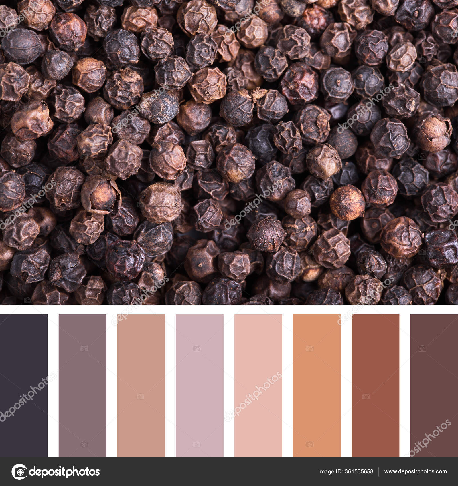 Background Black Peppercorns Colour Palette Complimentary Colour ...