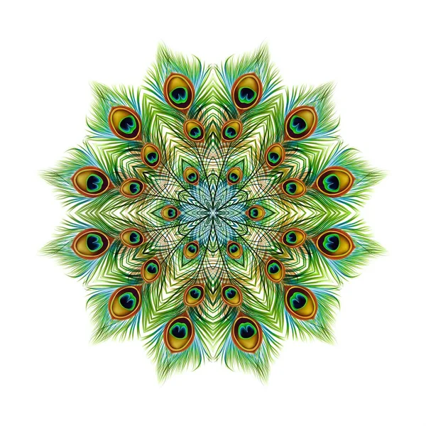 Motif merak Vector Art Stock Images | Depositphotos