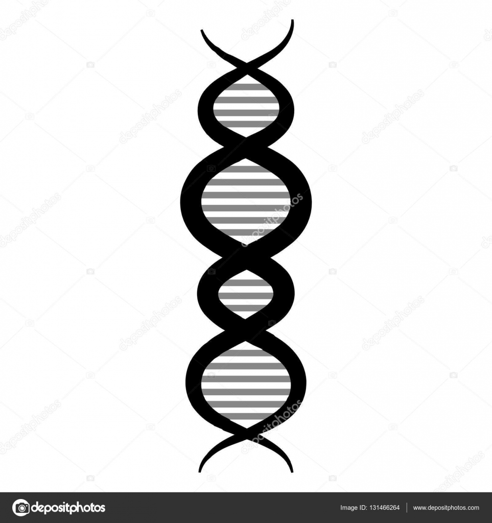 Molecular structure of DNA Stock Vector Image by ©yupiramos #131466264