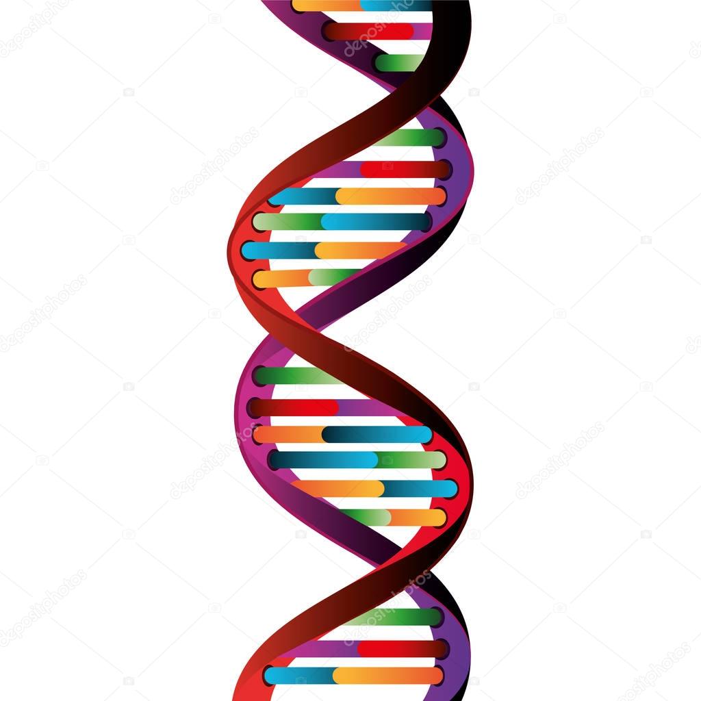Molecular structure of DNA vector illustration design premium vector in ... Molecular structure of DNA vector illustration design premium vector in ...