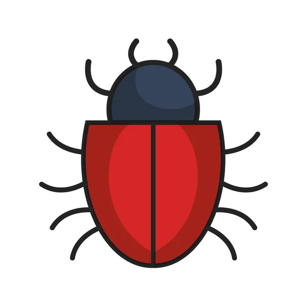Bug Clipart