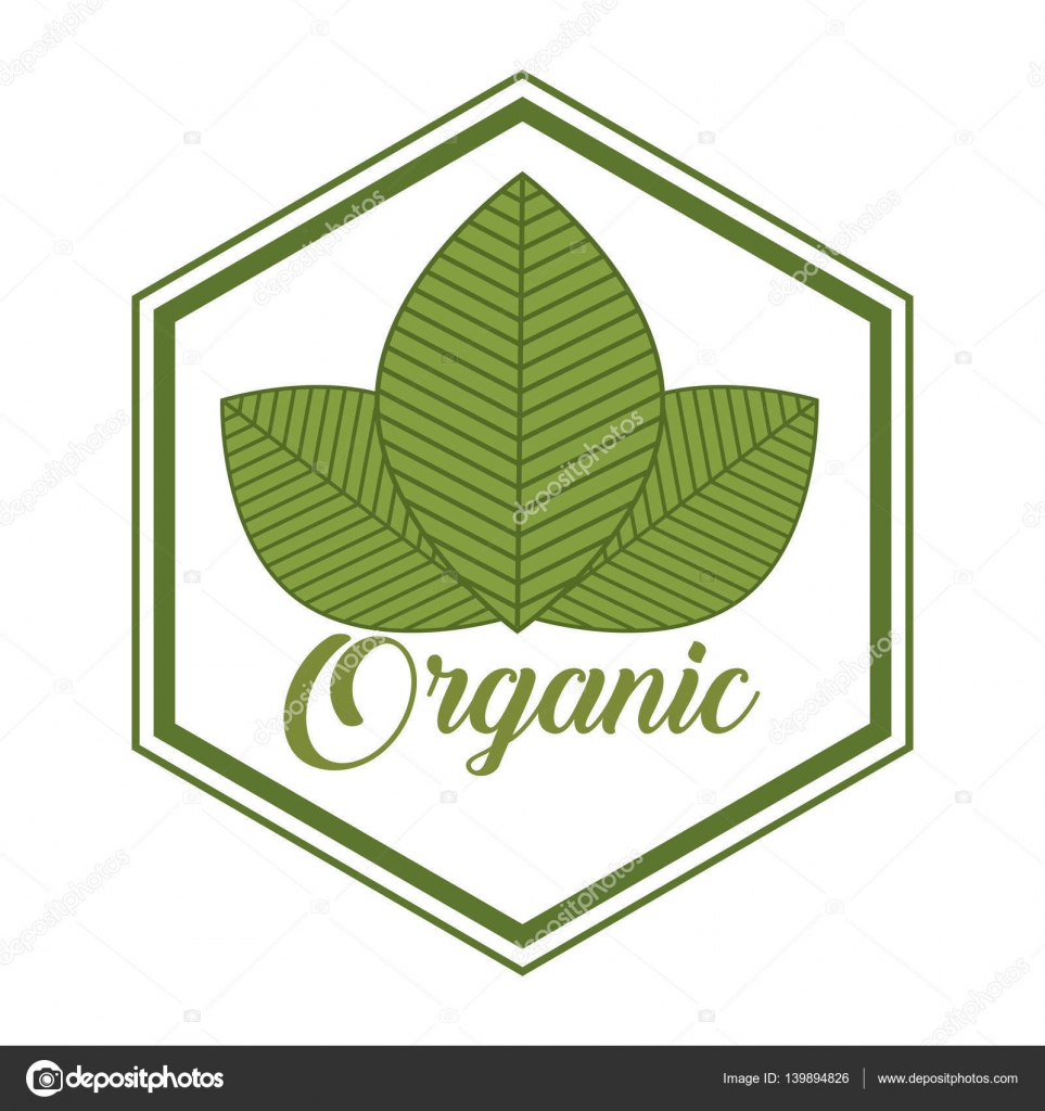 Organic and natural design Stock Vector by ©yupiramos 139894826
