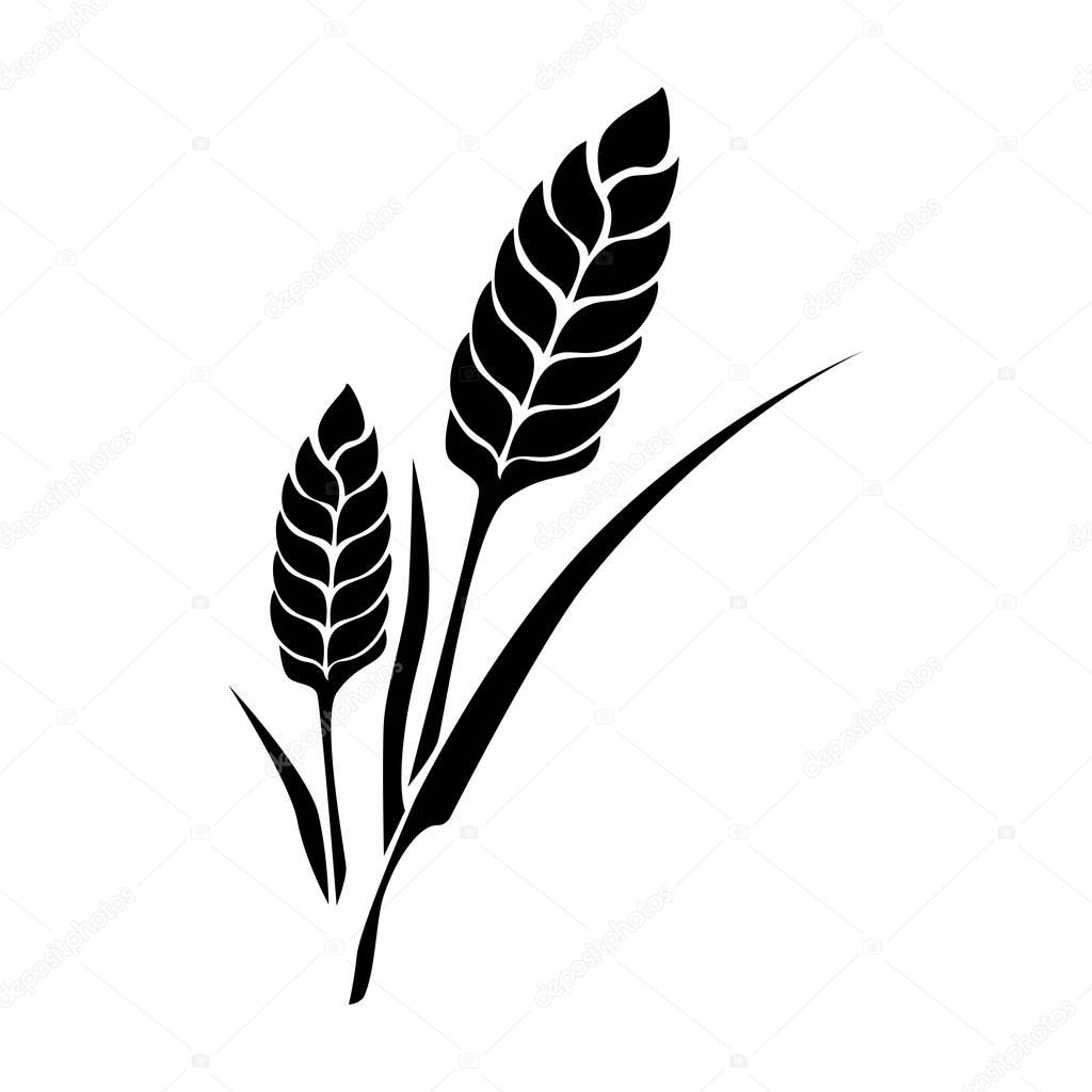 Rice plant isolated icon — Stock Vector © yupiramos #141504702
