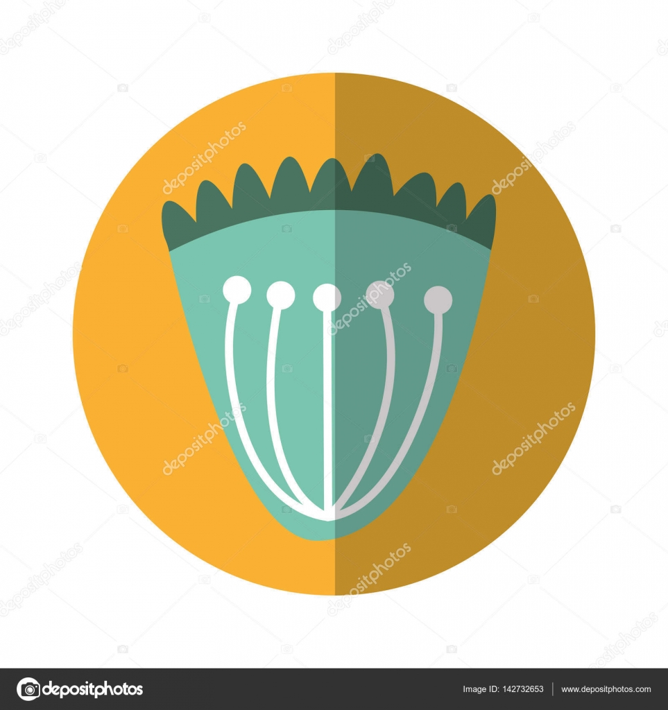 Cute flower nature icon Stock Vector by ©yupiramos 142732653