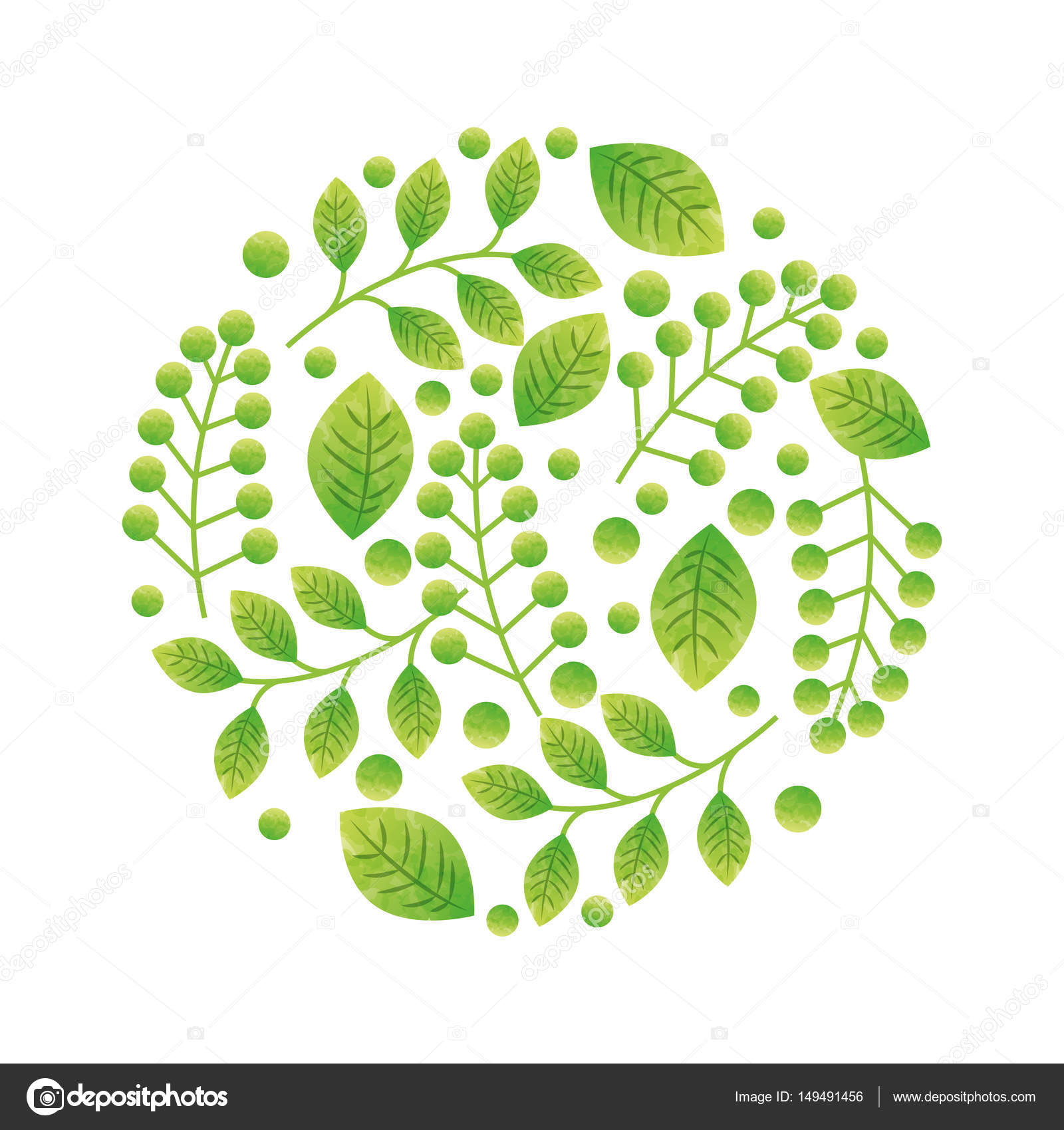 Leaf plant decorative isolated icon — Stock Vector © yupiramos #149491456