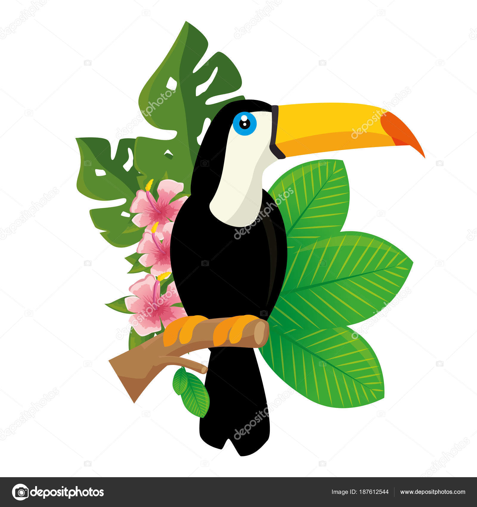 Tropical Bird Clip Art