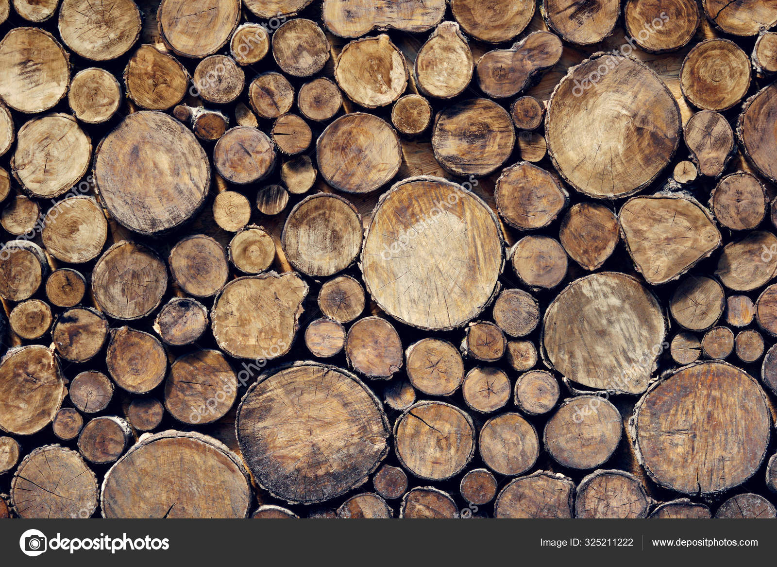 Log Texture