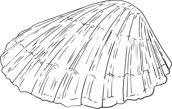 100,000 Baptism shell Vector Images | Depositphotos