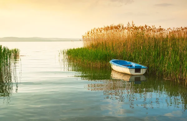 Balaton Stock Photos, Royalty Free Balaton Images | Depositphotos