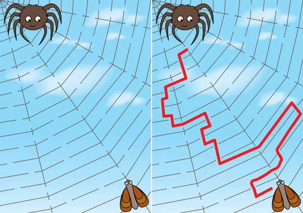 115 Labyrinth spider Vector Images | Depositphotos