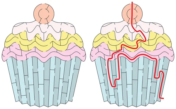 21,602,111 Capillary anatomy Vector Images | Depositphotos