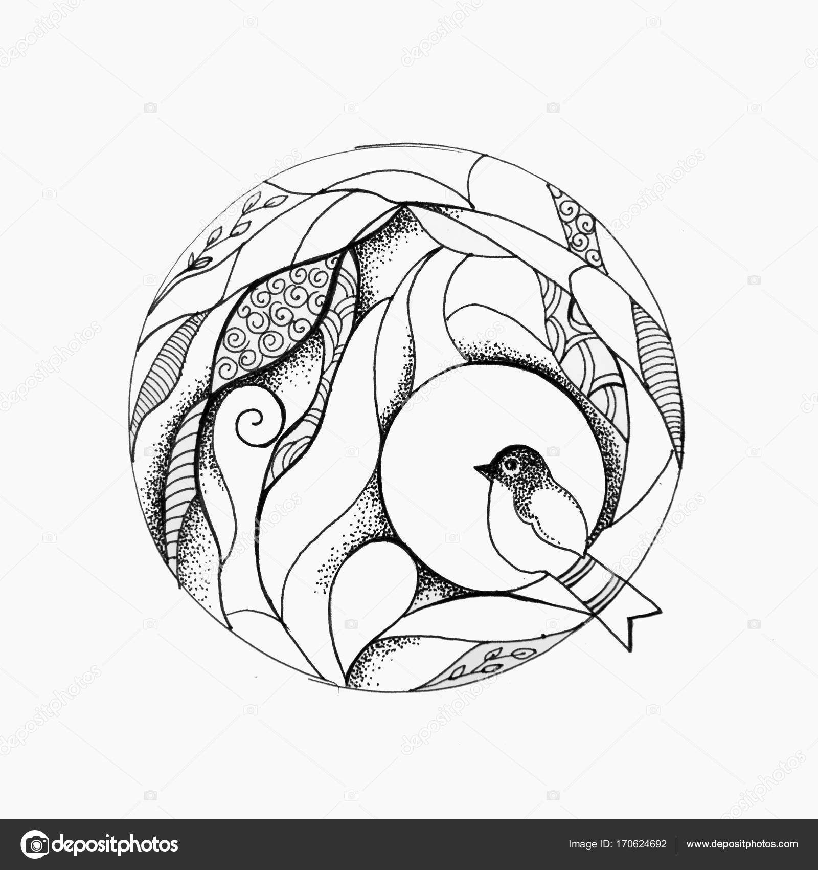 Sketch of a beautiful bird in a circle on a white background. Stock ...