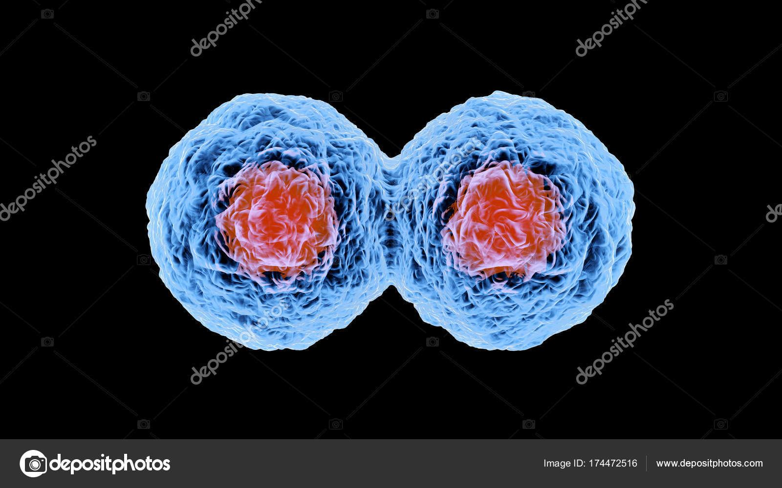 3D rendered illustration of Cell Replication Stock Photo by ©Spectral ...