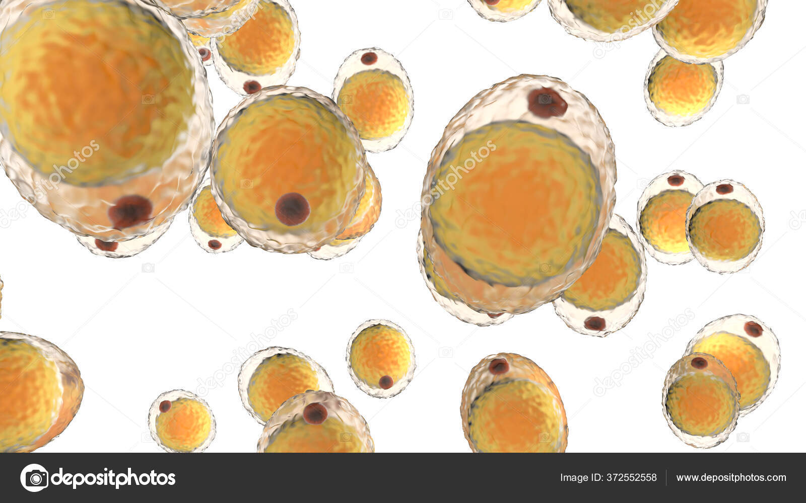 Illustration Cluster Fat Cells Isolated White Stock Photo by ©Spectral ...