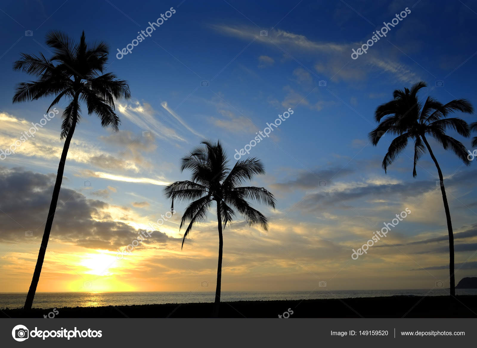 Tropical Palm Trees Silhouette Sunset or Sunrise Stock Photo by ... Tropical Palm Trees Silhouette Sunset or Sunrise Stock Photo by ...