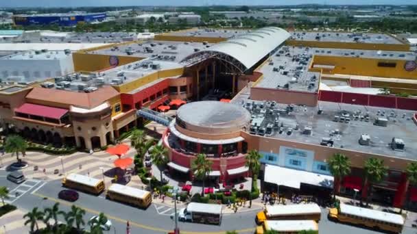 56 Dolphin mall Stock Videos, 4K & HD Footage | Depositphotos