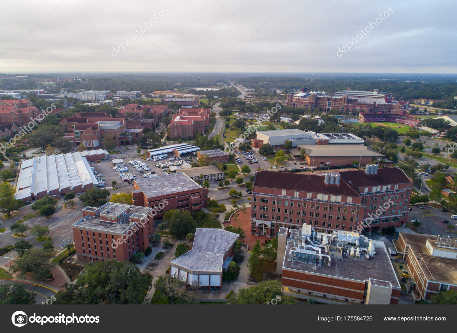 Florida State University Fsu Stock Photo by ©felixtm 175584726