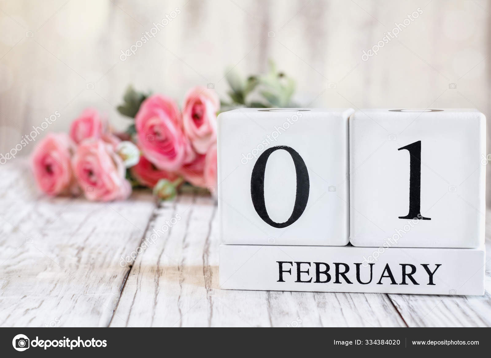 February 1st Calendar Blocks with Pink Ranunculus in Background — Stock ...