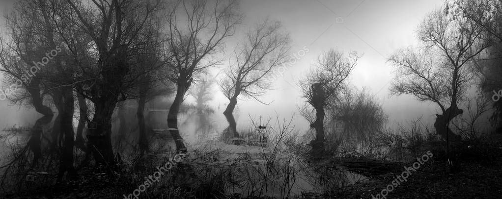 Spooky landscape Stock Photos, Royalty Free Spooky landscape Images ...