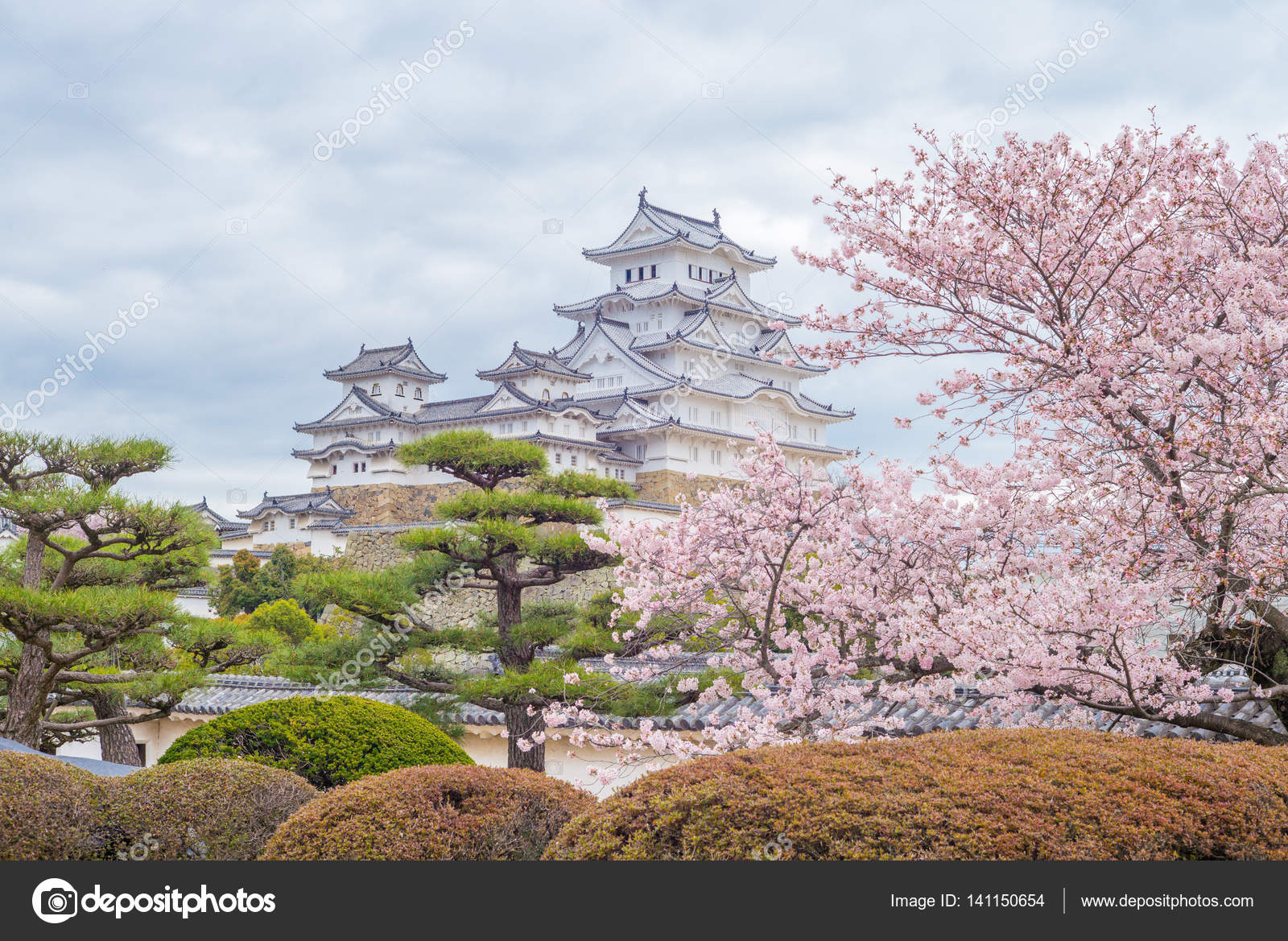 Himeji Castle with cherry blossom in spring – Stock Editorial Photo ...