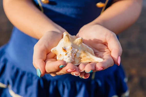Human hands, women holding seashells, starfish Stock Photo by ©Ajwers ...