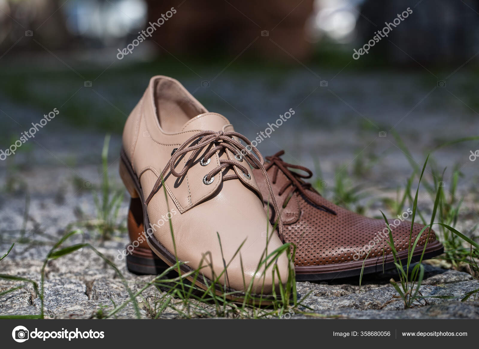 Different Kinds Shoes Natural Background — Stock Photo © fotoskat ...