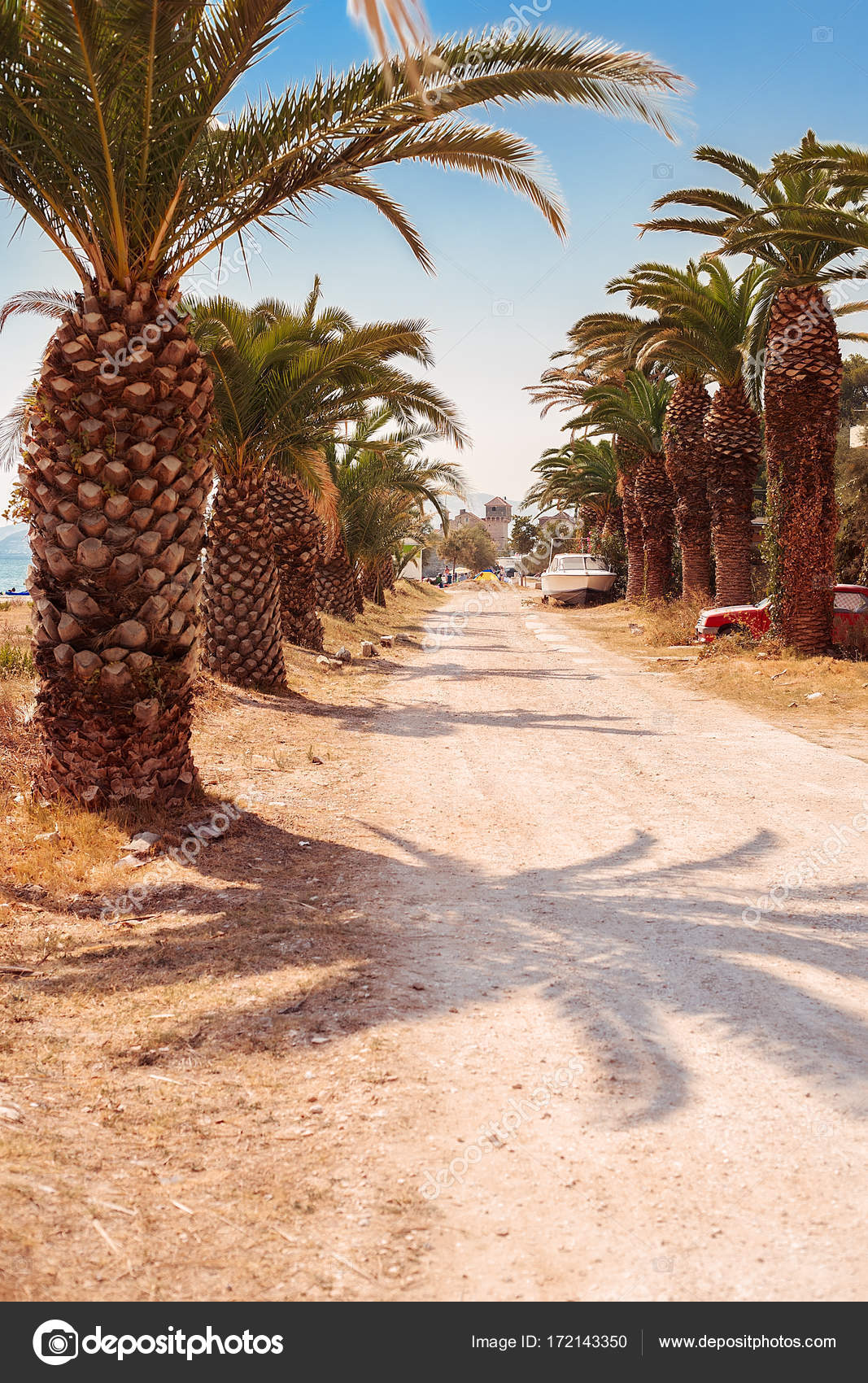 Landscape with palm trees Stock Photo by ©evgeniyregulyan@gmail.com ...