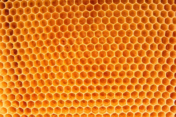 Wax texture Stock Images - Search Stock Images on Everypixel