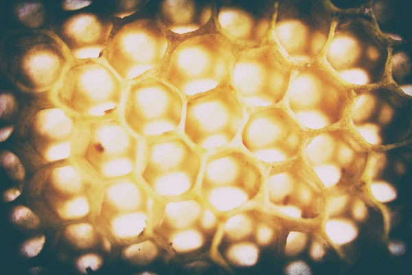 Wax texture Stock Images - Search Stock Images on Everypixel