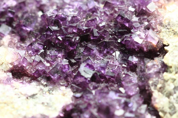 Small purple gem stones, luxury background shallow depth of fiel ...