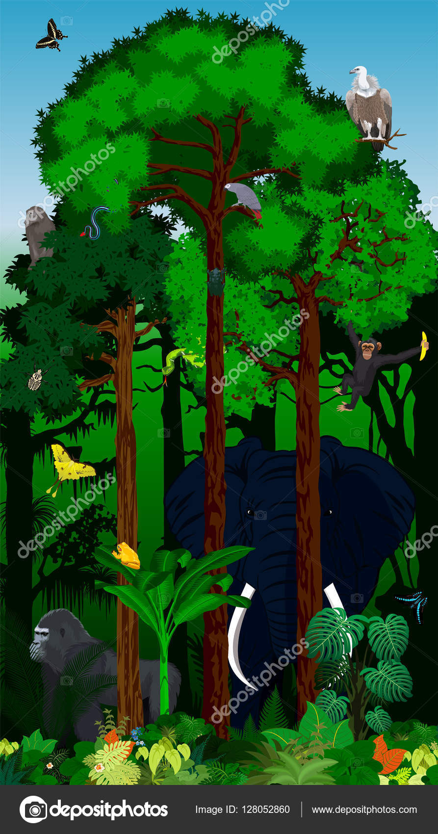 Rainforest Adventure Clipart