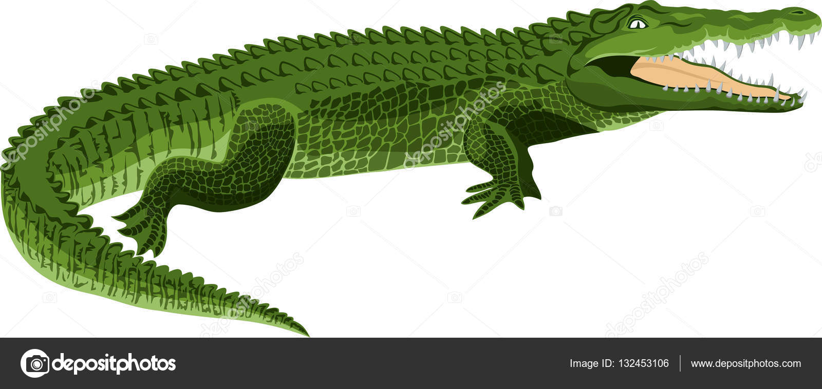 Vector Wildlife crocodile Stock Vector by ©SaveJungle 132453106 Vector Wildlife crocodile Stock Vector by ©SaveJungle 132453106