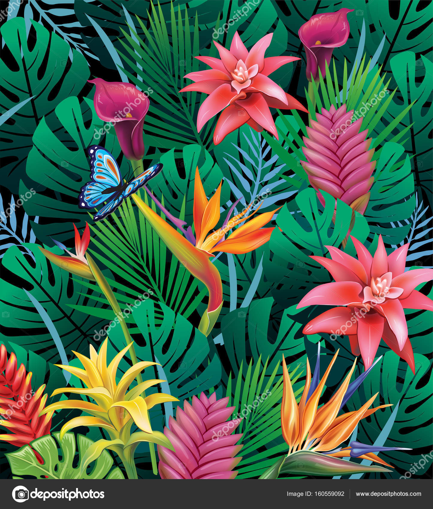 Exotic Tropical Flower Vector | Best Flower Site