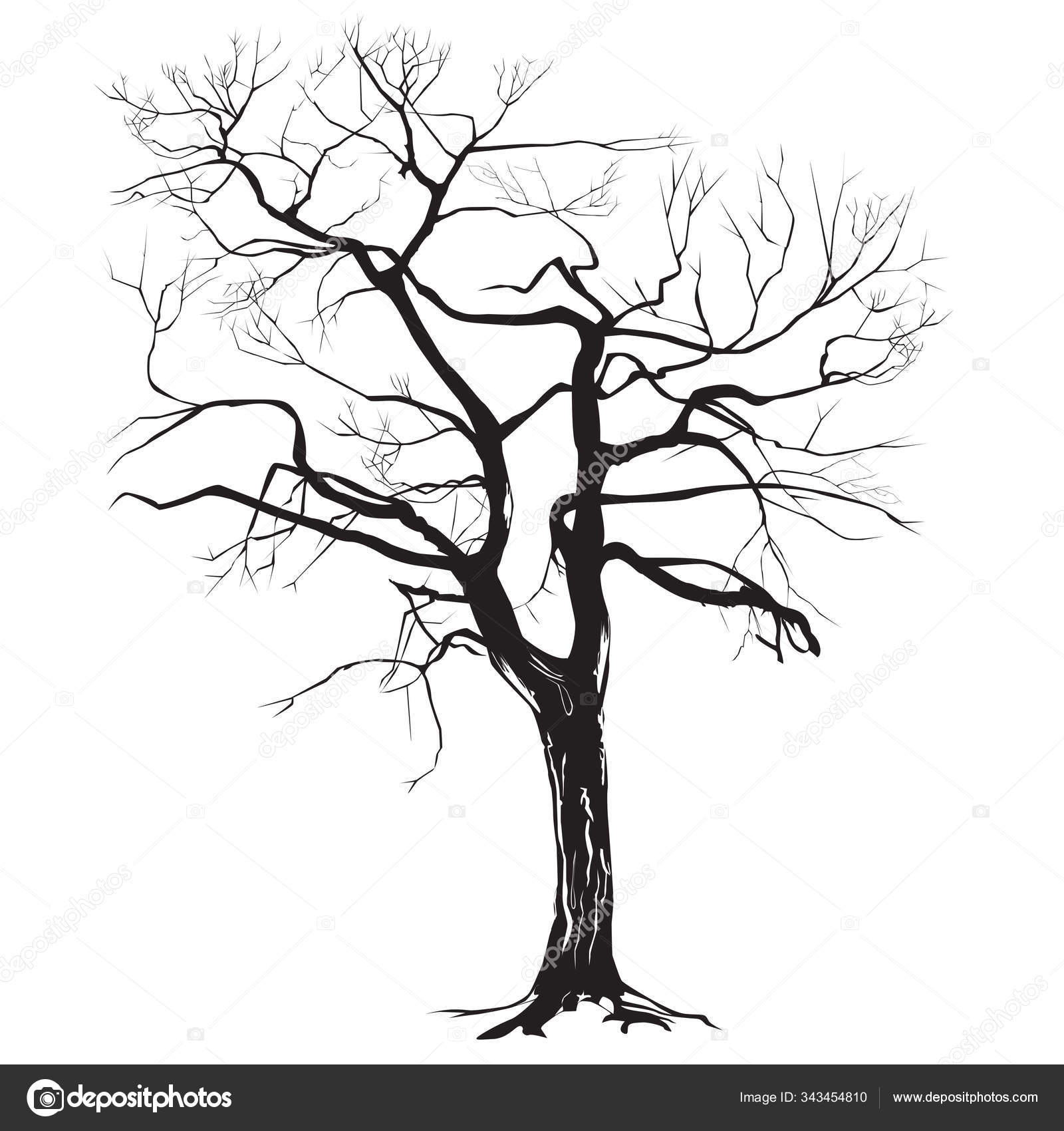 Tree trunk silhouette with fallen leaves Stock Vector by ©omx00a.gmail ...