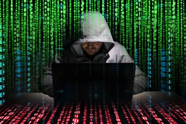 Hacker accessing to personal data information with a computer 3D - Stock Image - Everypixel