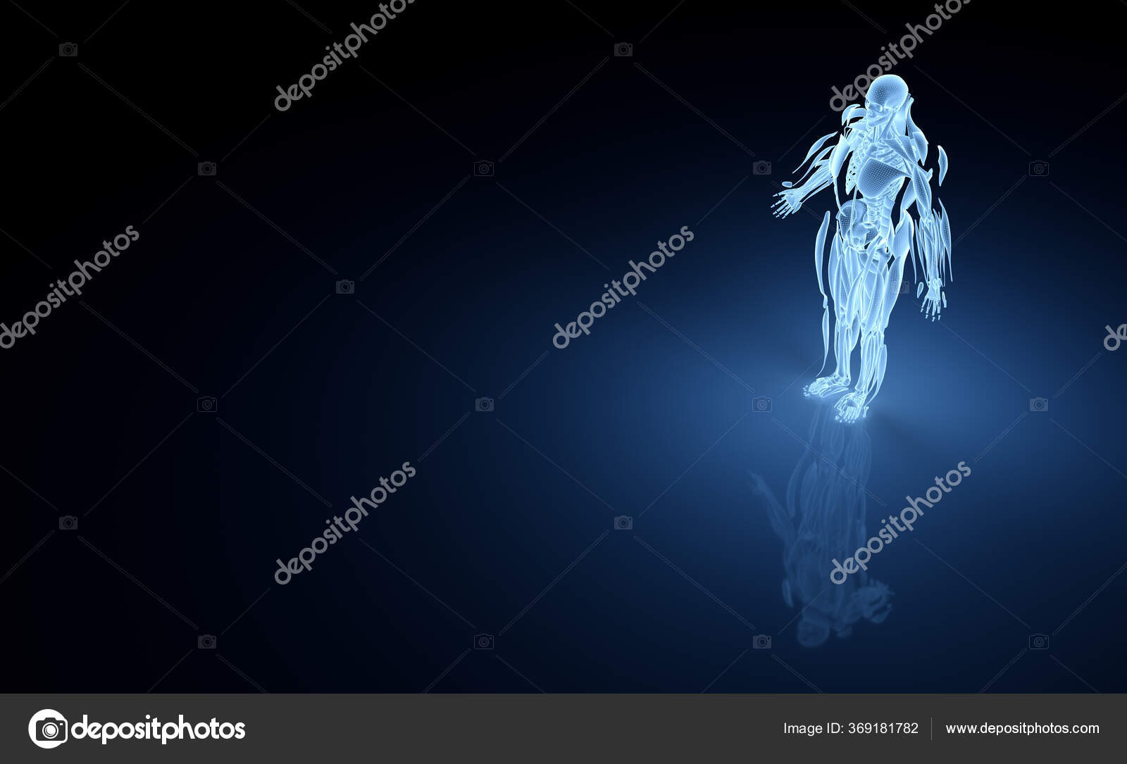 Digital Ray Human Body Holographic Scan Projection Dark Blue Background ...