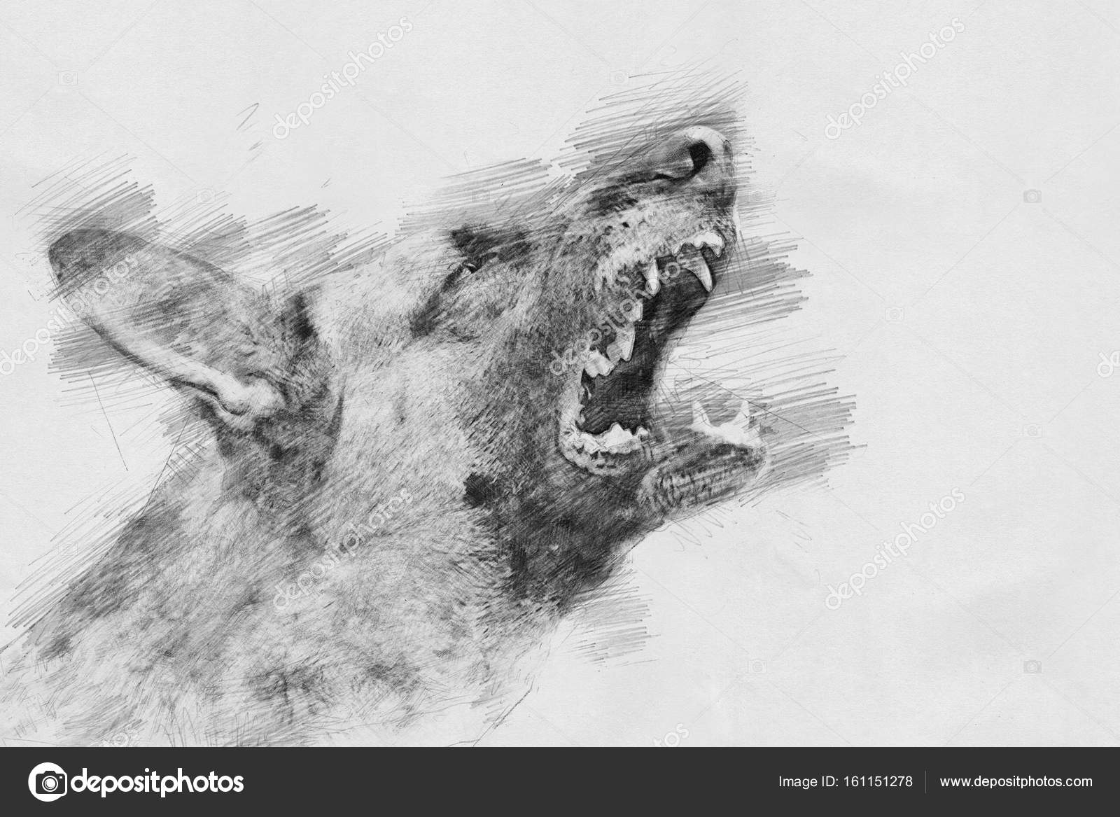 Angry Dogs Drawings Illustration Of An Angry Dog Barking About To