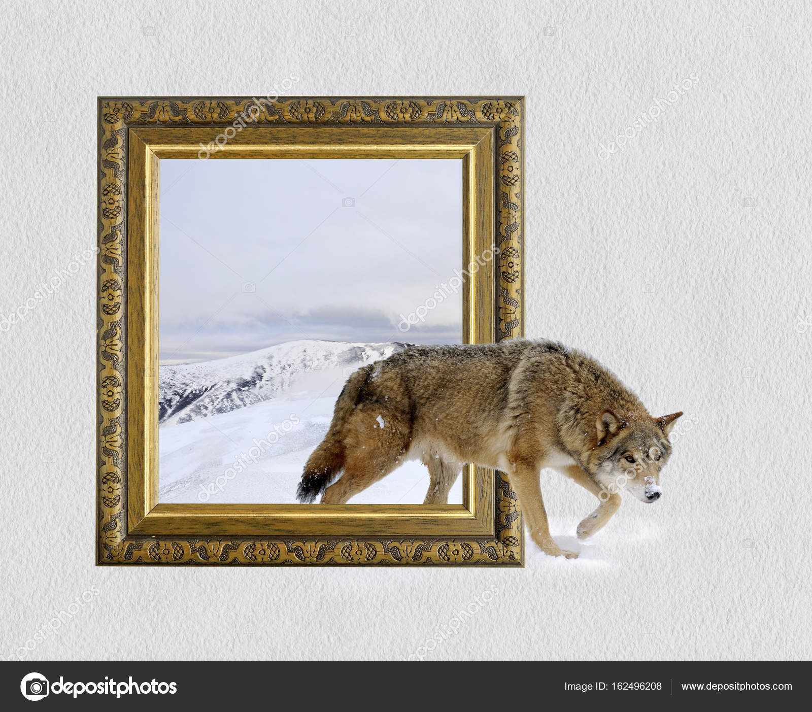 Wolf in frame with 3d effect — Stock Photo © VolodymyrBur #162496208