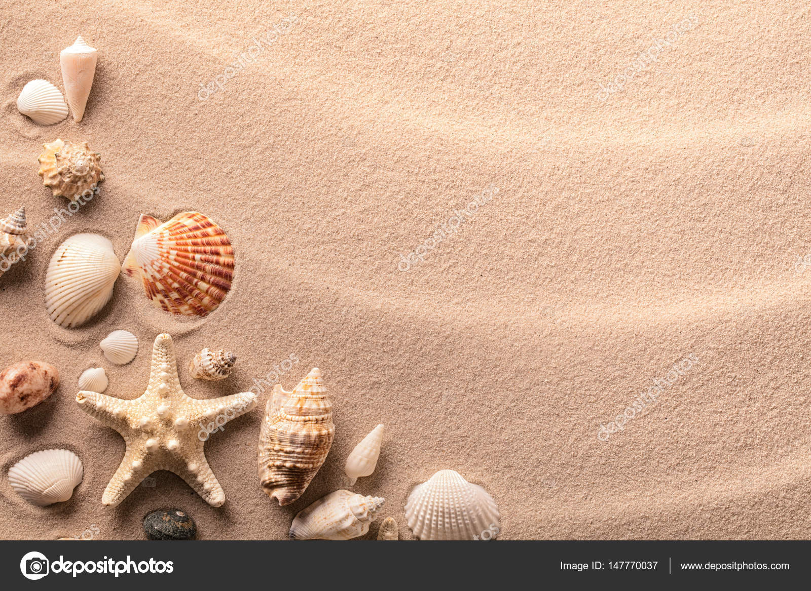 Beach Sand With Shells
