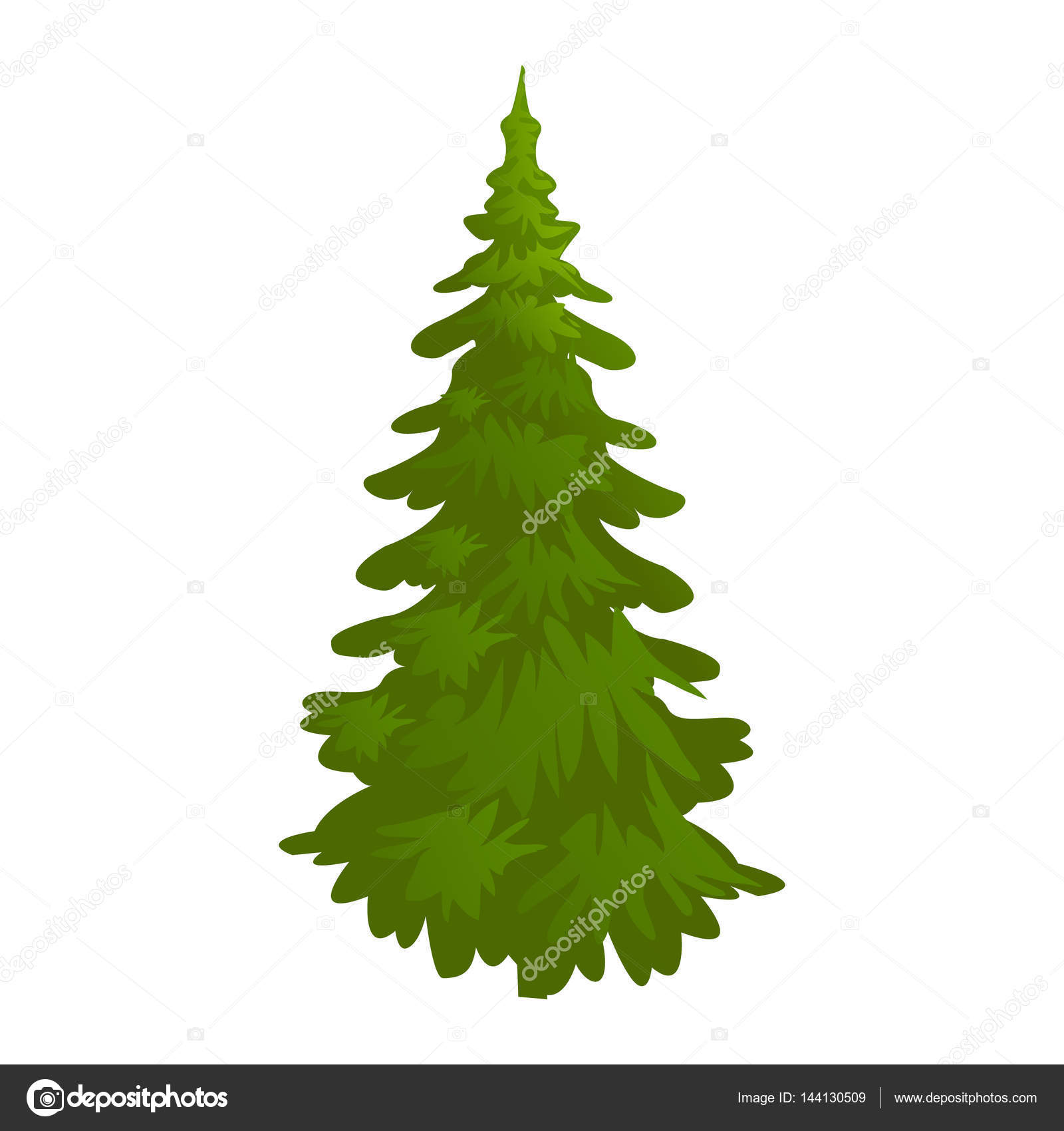 Cartoon Spruce Tree